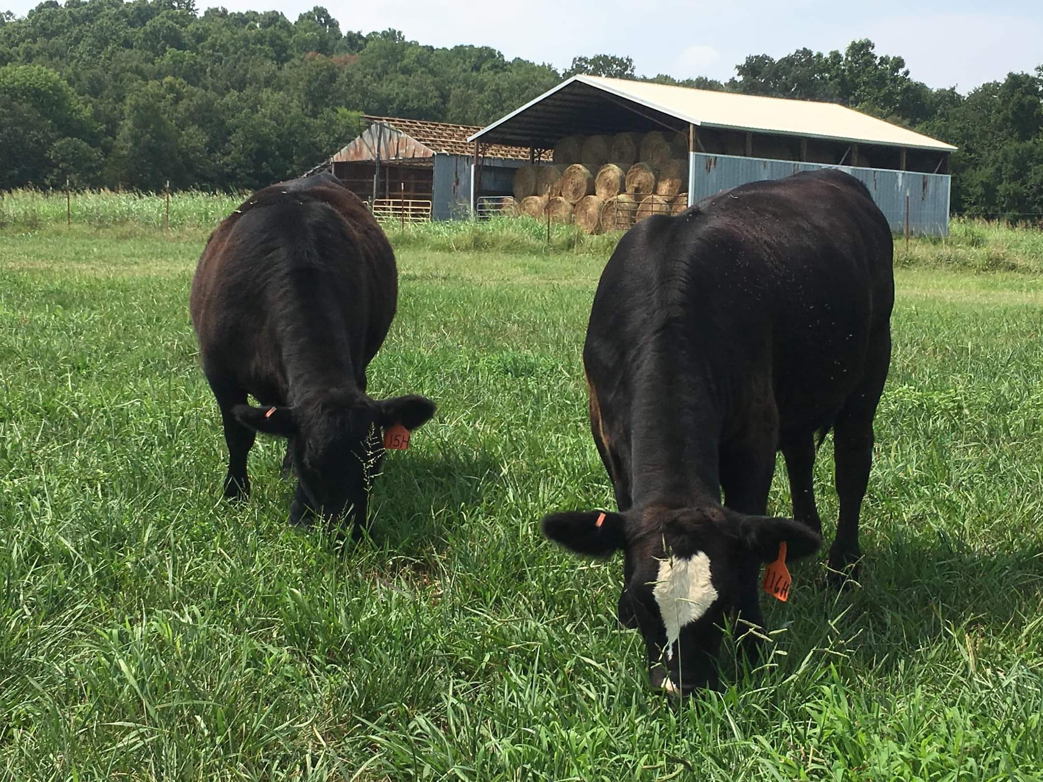 Home - Melbourne Farm To Table