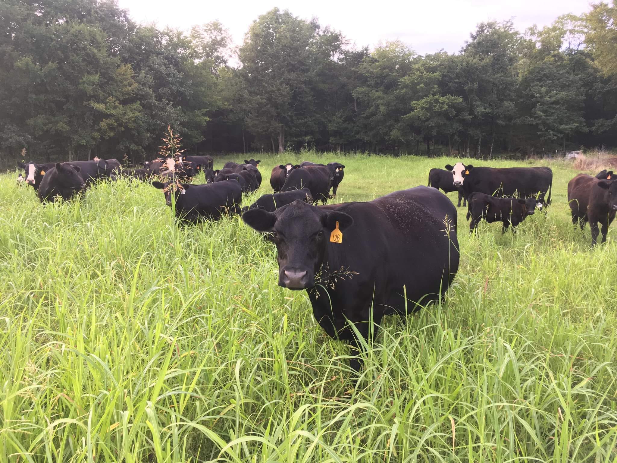 Home - Melbourne Farm To Table